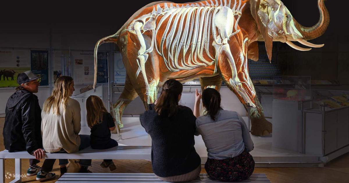 Vé vào Bảo tàng Lịch sử Tự nhiên Hoa Kỳ - Klook Việt Nam